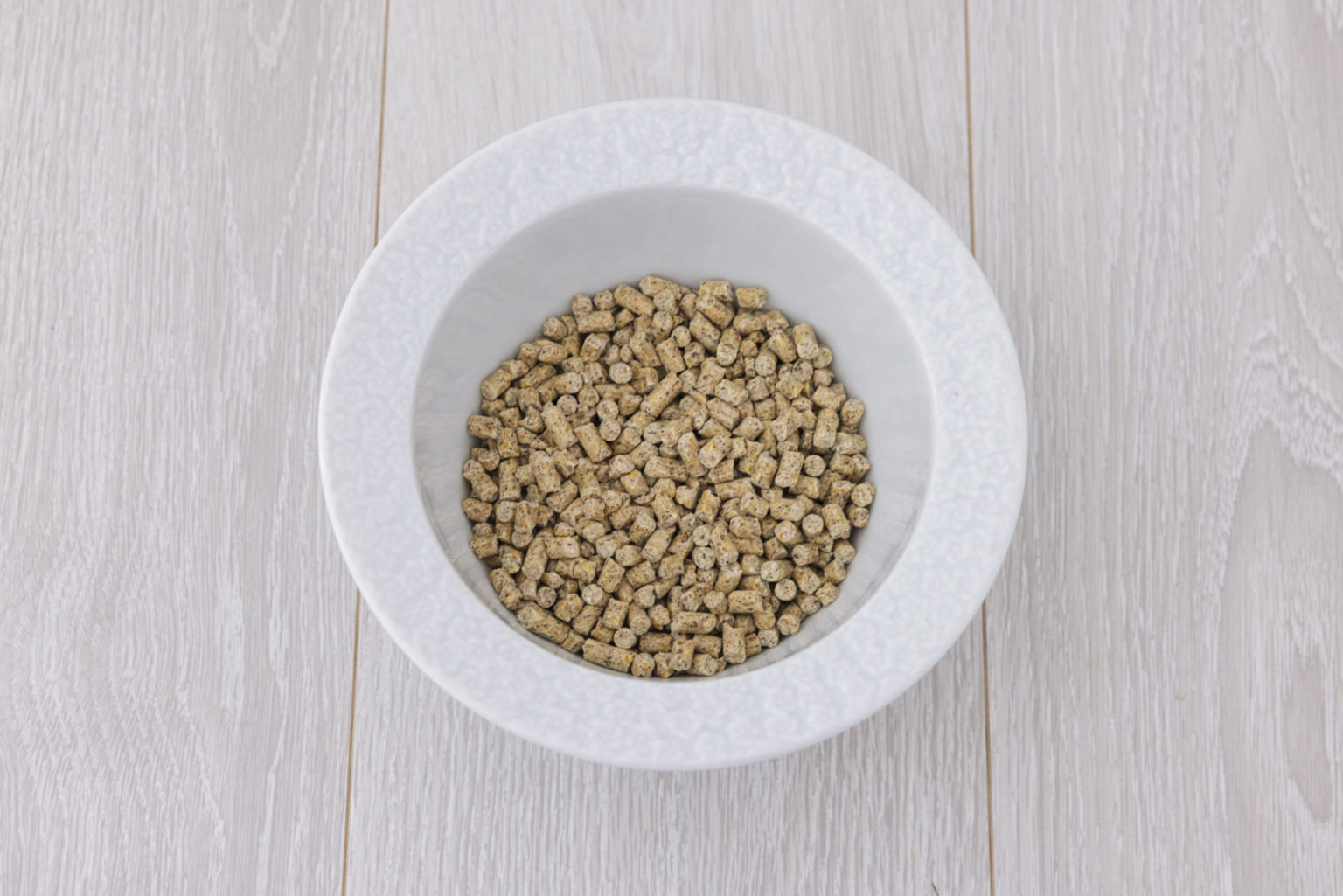 マイクロブタ飼育の基本 | pignic blog