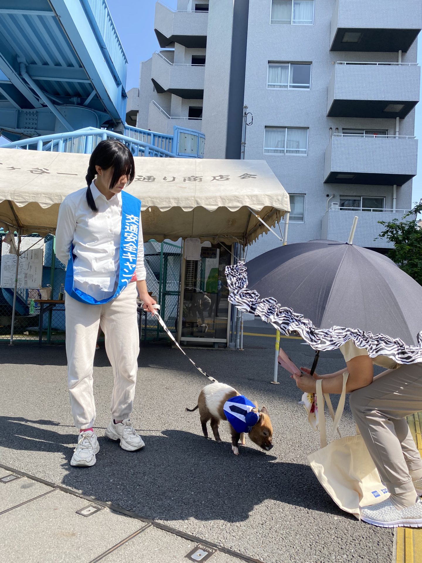 交通安全運動のお手伝いをしました🚘💨 | pignic blog