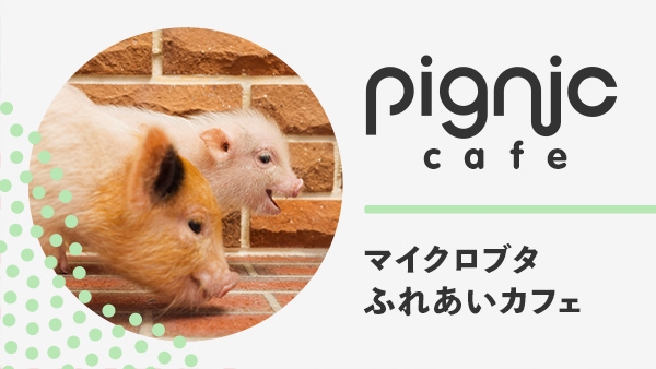 サービス一覧 - pignic [ピグニック]