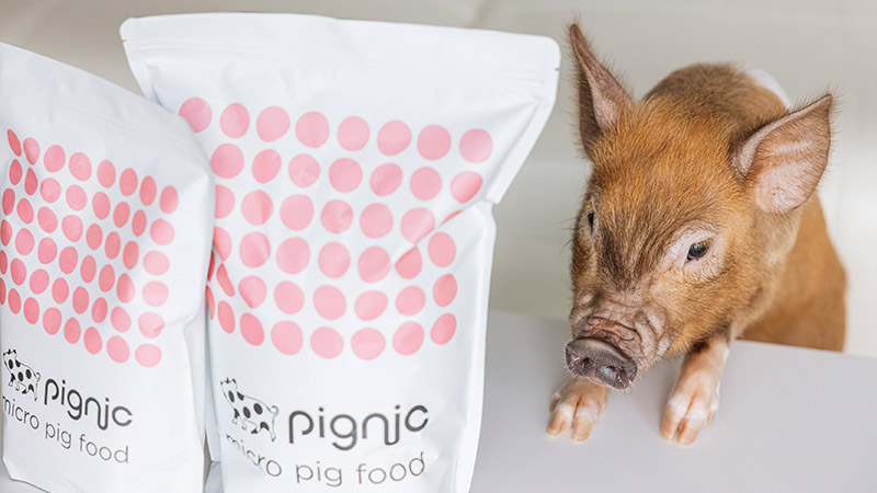 pignic members - pignic [ピグニック] マイクロブタの暮らしサポート